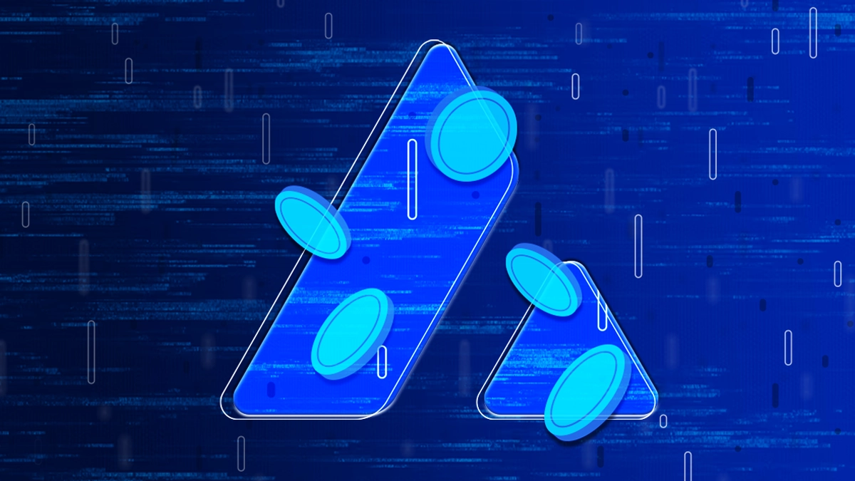 Tokenomics 101: The Blockchain Big Picture | Avax.network